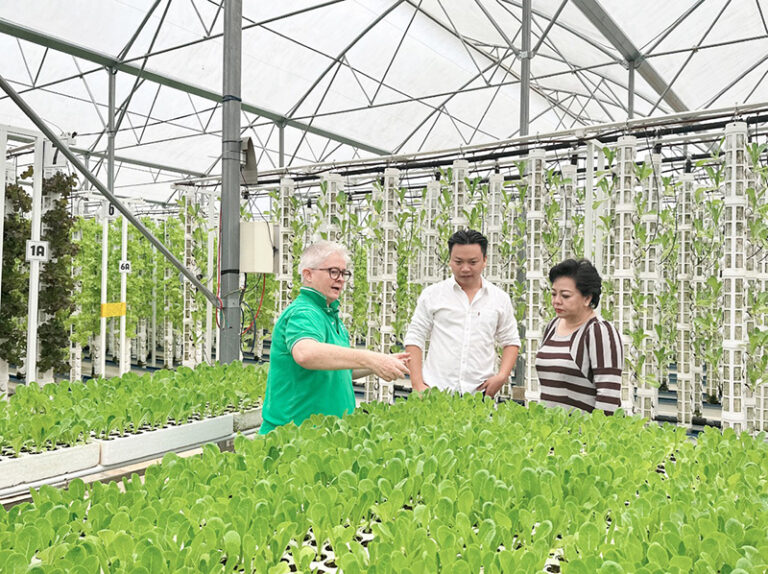 San Hà - Orlar hợp tác trồng rau công nghệ mới - Tin tức Chăn nuôi ...