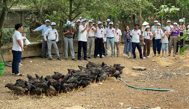 Thương hiệu Gà xanh Giang Nguyên - Tin tức Chăn nuôi - Tạp chí Chăn ...