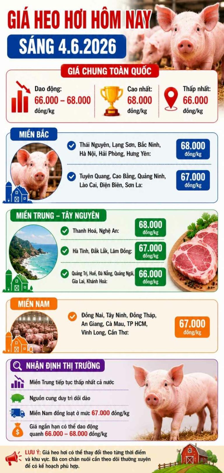 Giá heo hơi hôm nay 4/6/2026: Nguồn cung dồi dào, giá tiếp tục chững ...